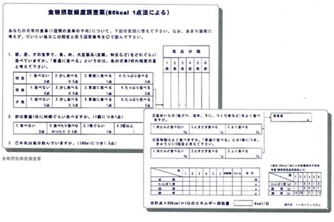 食物摂取頻度調査票