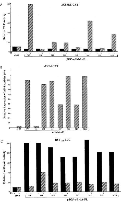 Biological Activities Of The C Terminal Mutants Of T3r A Cv 1 Cells