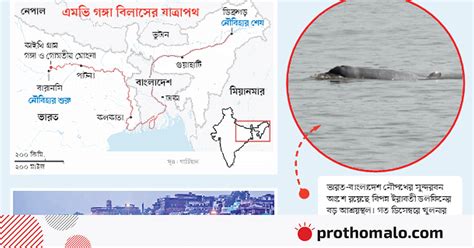 ‘গঙ্গা বিলাসে হুমকিতে পড়তে পারে গাঙ্গেয় ডলফিন প্রথম আলো