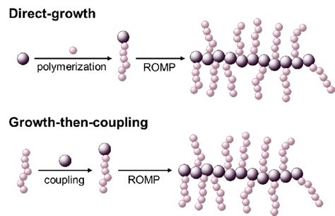 Schematic Representation Of Bottlebrush Polymer Synthesis Via The Download Scientific Diagram
