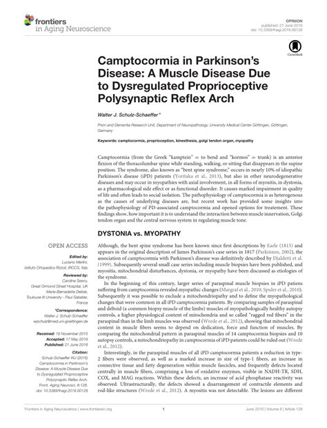 Pdf Camptocormia In Parkinsons Disease A Muscle Disease Due To