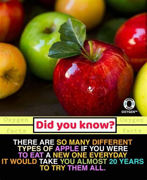 There Are So Many Different Types Of Apple If You Were To Eat A New One