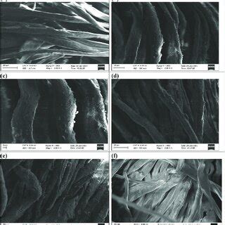 SEM Images Of ZnO Coated Cotton Fabrics Panels A C Correspond To