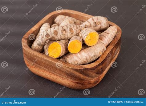 Roots Of Turmeric Curcuma Longa Stock Image Image Of Gourmet Curcuma