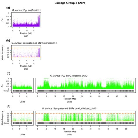 lg3 o aureus parison a fst comparison of zw female pool
