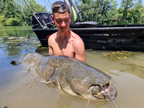 Gros Silures Pour Jeunes Pécheurs Guidage Silure