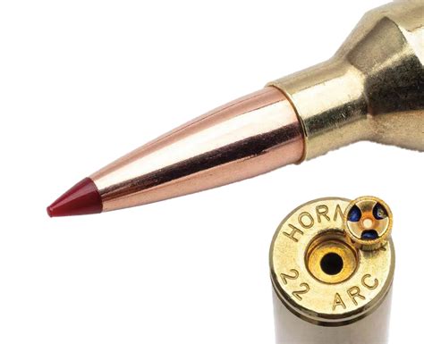 22 Arc The Rising Star In Varmint Hunting Apf Armory