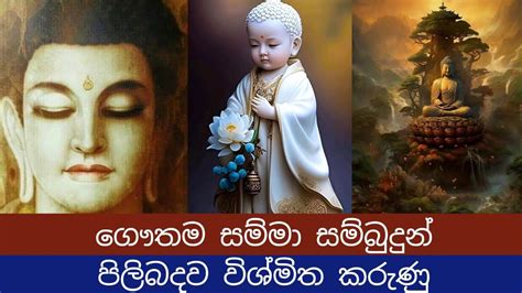 මහා බොධිසත්වයන් විසින් දේශනා කරන ගෞතම සම්මා සම්බුදුන් පිලිබදව විශ්මිත