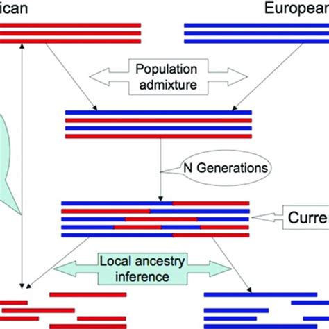 2 Schematic Of The Strategy For Detecting Natural Selection By Download Scientific Diagram