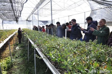 讓先進農民「走出去」，這個縣的新型職業農民培育又出新招 每日頭條