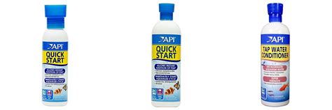 Top 5 Starter Fish Easy To Care For And Thrive In Your Tank