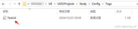 【ue5 c 课程系列笔记】12——gameplay标签的基本使用 ue5 gameplaytag csdn博客