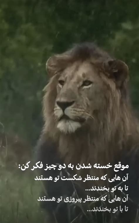 Omran E Omran N Q8 Twitter