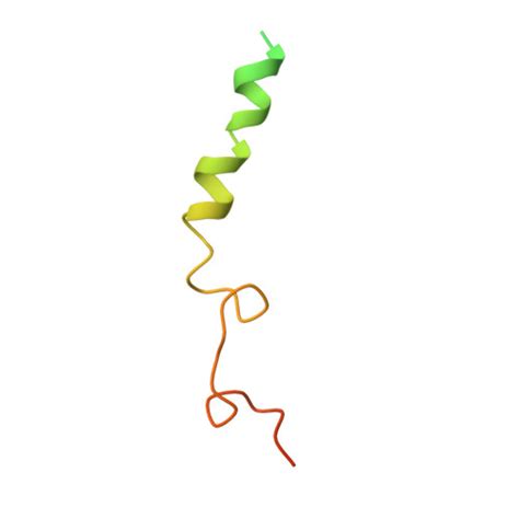 Rcsb Pdb 7xmt Cryoem Structure Of Somatostatin Receptor 4 Sstr4