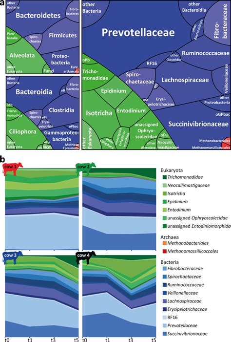 Holistic Assessment Of Rumen Microbiome Dynamics Through Quantitative Metatranscriptomics