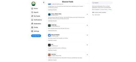 Bluesky Rolled Out Custom Algorithm Feeds To Everyone