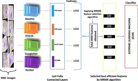 The Proposed Cnnmrmrelm Method Download Scientific Diagram