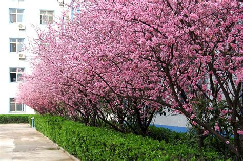 2024年上海海事大学在上海录取分数线（附近几年最低位次排名） 大考100