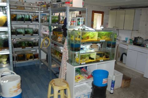 ma fishroom