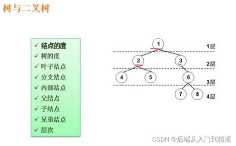 二叉树、队列、栈、广义表（二）数据结构与算法（十八） 图树广义表栈 csdn博客