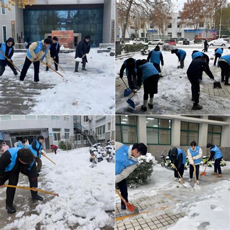 扫雪除冰人心齐·情满校园暖人心——校团委组织学生开展除雪工作 团委