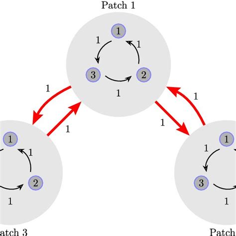 Left Dynamics Of The Metapopulation Model In Fig 3 For Patches 1