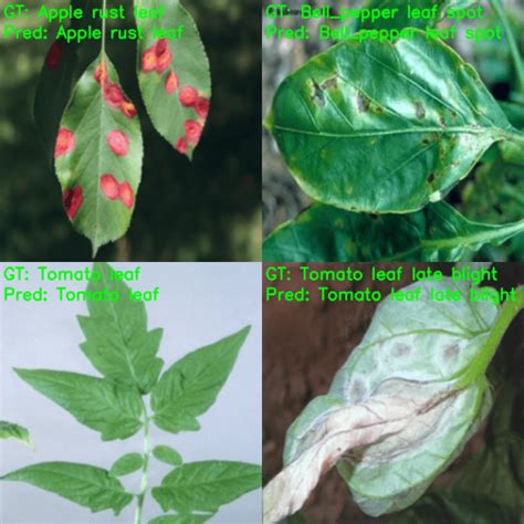 Plant Disease Recognition Using The Plantdoc Dataset And Pytorch