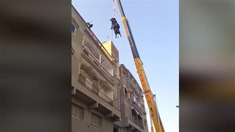 فيديو رفع عجل فوق سطح منزل بواسطة ونش يلا يا حمدي بدل ما يقع الوطن