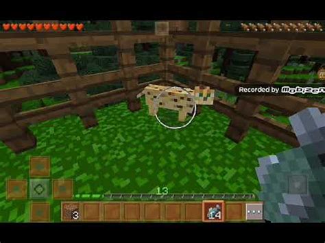 C Mo Amaestrar Ocelotes En Minecraft Youtube