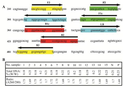 Loop Mediated Isothermal Amplification Lamp For Embryo Sex