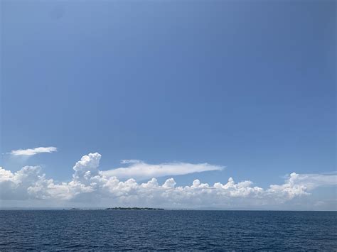 오늘도 세부 막탄 바다는 이상 무 찐다이브 사진갤러리