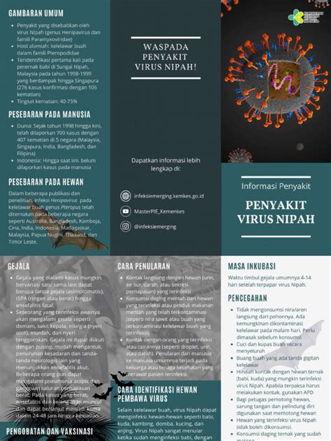 leaflet penyakit virus nipah pdf