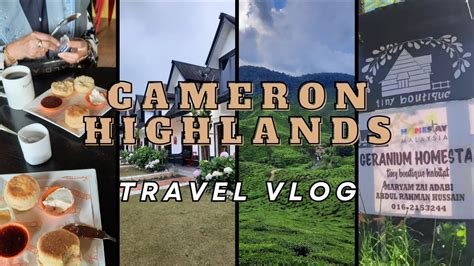 Cameron Highlands 2023 Youtube
