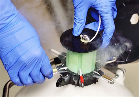 Fertility Preservation