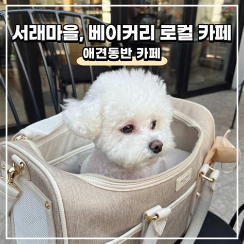 서래마을 카페 베이커리로컬 서래점 주차 빵집 네이버 블로그