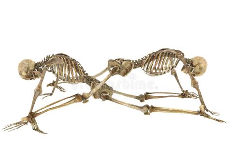 Balance Stock Illustration Illustration Of Radius Pleasuring