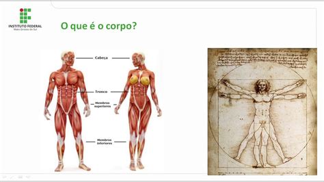 Aula 1 o que é o corpo YouTube