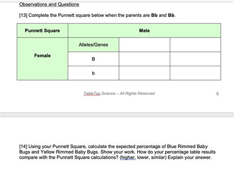 Observations And Questions 13 Complete The Punnett Square