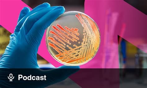 Infectious Disease Diagnostics New Horizons In Ngs Rapid Tests And