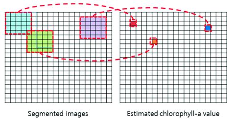 Schematic Diagram Of The Application Of Segmented Images In The Cnn
