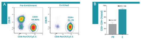 Flow Cytometry Sample Preparation Protocols Optimize Workflows