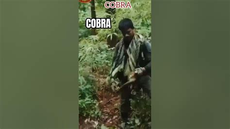 Cobra Commando Trainingjungle Warriorscrpfarmy Trainingfouji Life