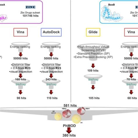 Vs Workflow Scheme Of The Filtering Steps Adopted During The Docking Download Scientific