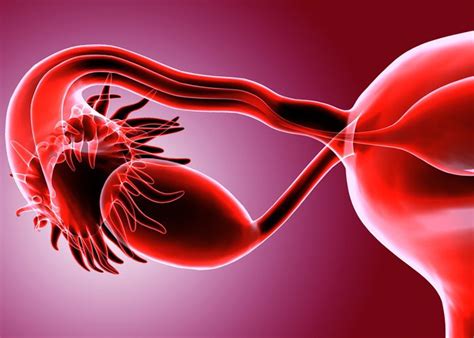 Tp53 Gene Mutations May Help Catch Ovarian Cancer