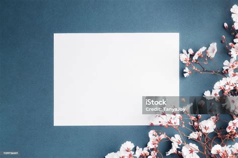 작은 흰 꽃으로 둘러싸인 종이의 빈 시트 파란색 배경에 빈 카드 0명에 대한 스톡 사진 및 기타 이미지 0명 개념 구도