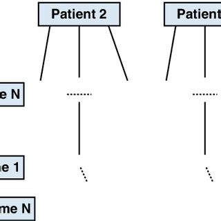 FIGURE E5 Illustration Of 3 Level Data Structure Of Linear Mixed Download Scientific Diagram