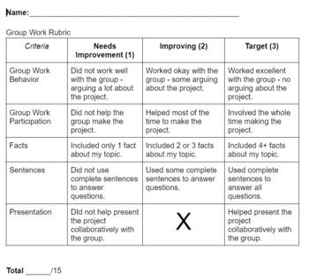 Group Work Project Rubric By Team4teacher Tpt