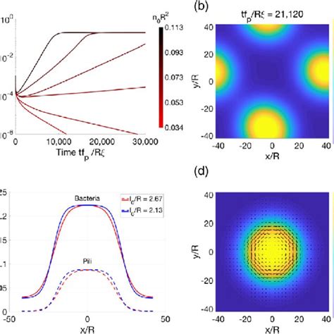 Aggregate Formation As A Phase Separation Phenomenon A Difference Of