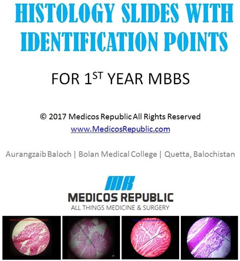 Histology Slides With Identification Points For St Nd Year MBBS Medicos Republic