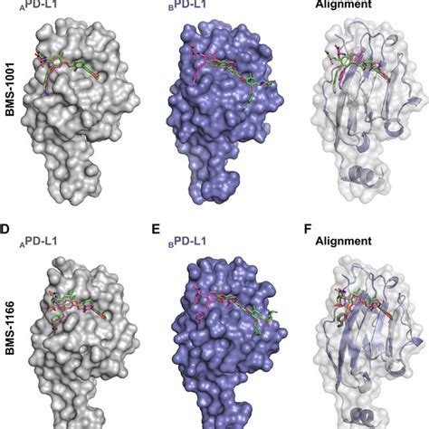Structures And The Pd 1pd L1 Blocking Potential Of Bms Compounds A